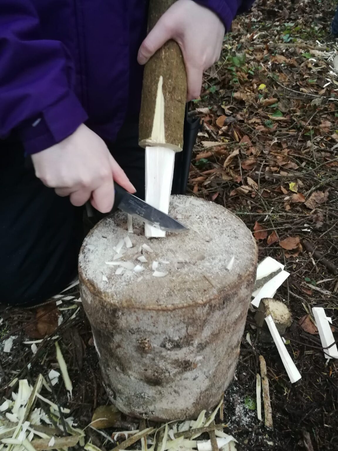 Bushcraft Skills - Be World Ready | Niagara College Canada